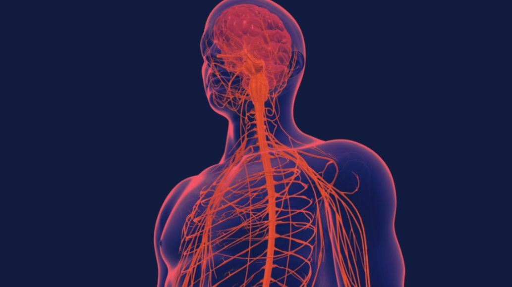 Red Light Therapy for Parkinson's Disease - Does it Work? – RLT Home